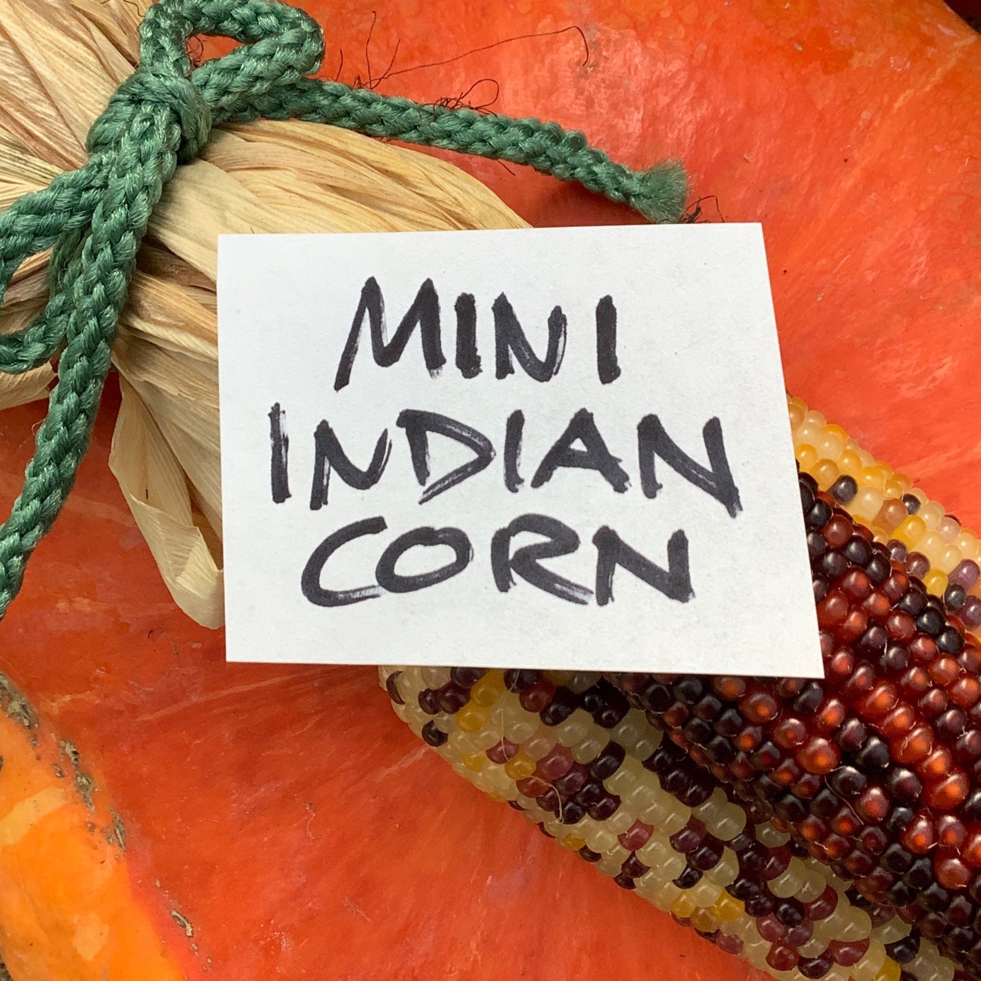 FINGER MINI CORN MINI | Cape Abilities Farm